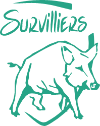 Gare de Survilliers - Fosses | Survilliers